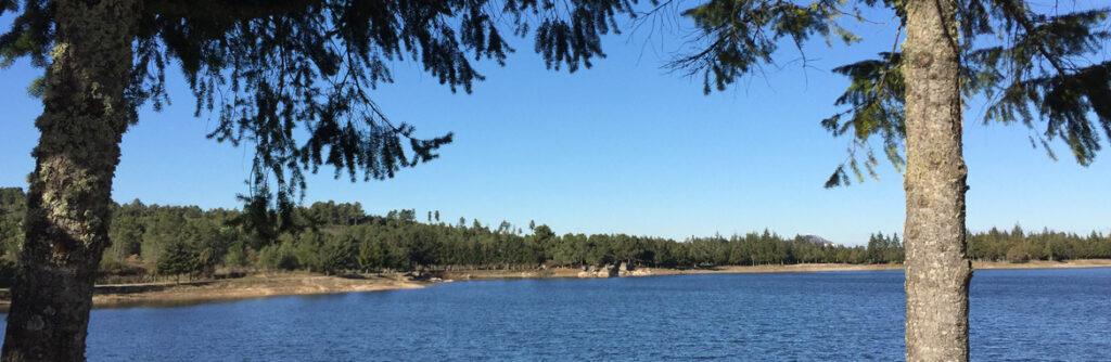 Um piquenique saboroso na Barragem de Vila Flor - Quinta do Palame