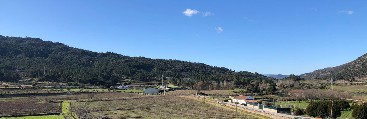 Freixiel, lugar cheio de recantos encantadores - Quinta do Palame