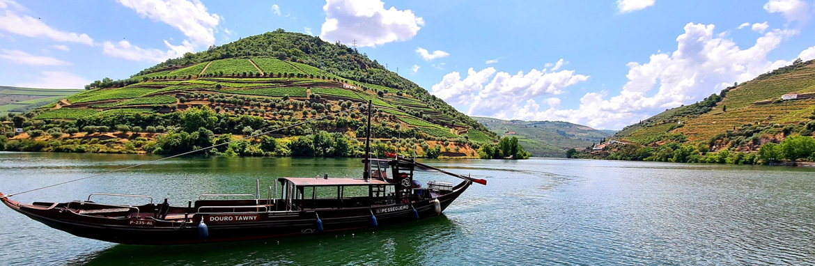 Fim de semana incrível na Quinta do Palame - Quinta do Palame