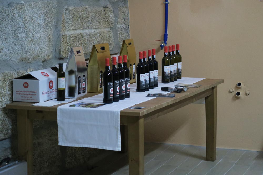 Adega da Vinha com casa cheia - Quinta do Palame